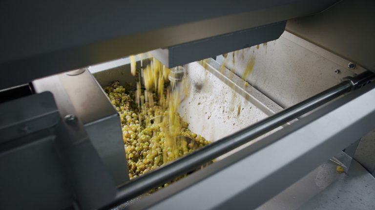 Destemming and Crushing | Sraml